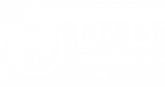 FC Cidal, 120 capsules - Dr. O. Solutions for Natural Health